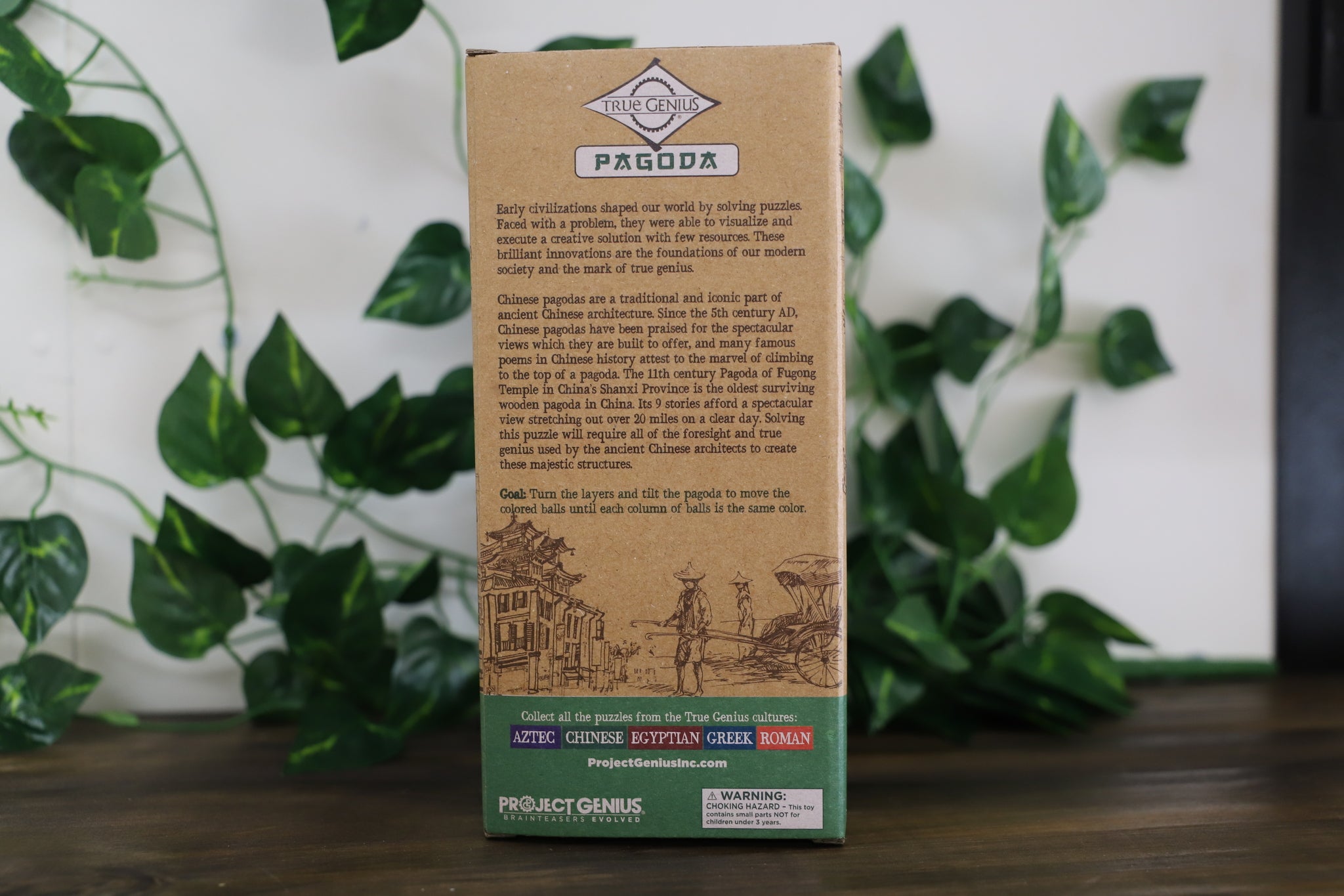 Brain Teasers – Pluto & Nessie